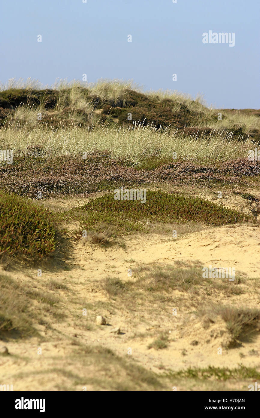 Morsum Kliff Insel Sylt Deutschland Nordfriesland Nordsee Island Sylt ...