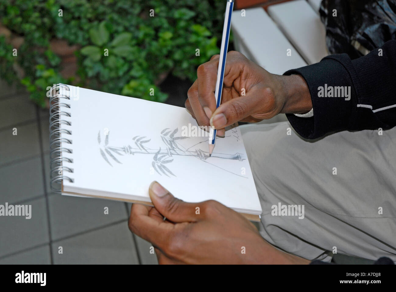 Back male man teen teenager artist artiste draw drawing picture hi-res ...