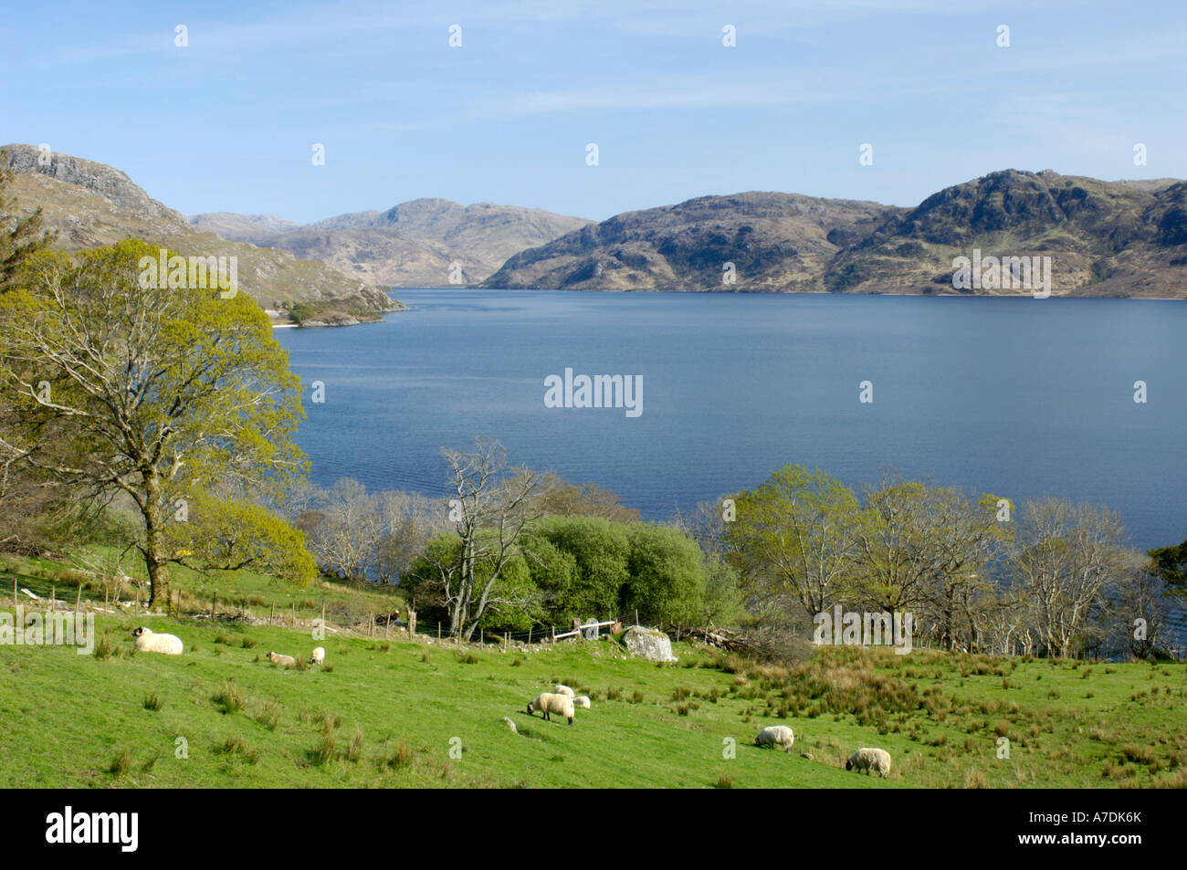 North shore loch morar bracora hi-res stock photography and images - Alamy