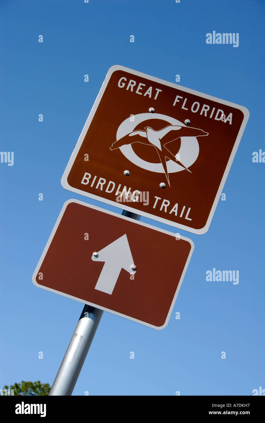 Manatee Springs State Park Florida birding trail sign Stock Photo - Alamy
