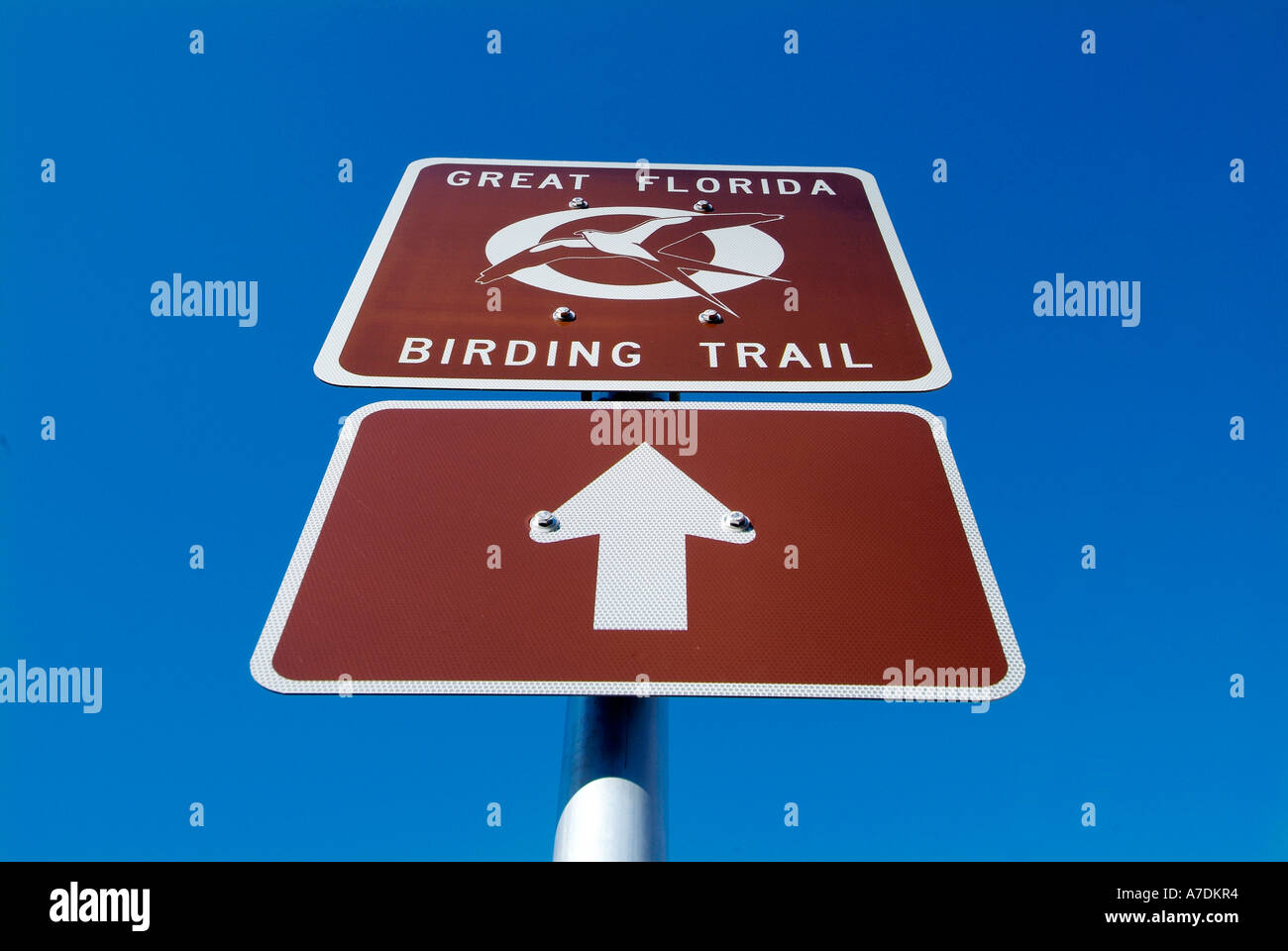 Great Florida Birding Trail sign Manatee Springs State Park Florida ...