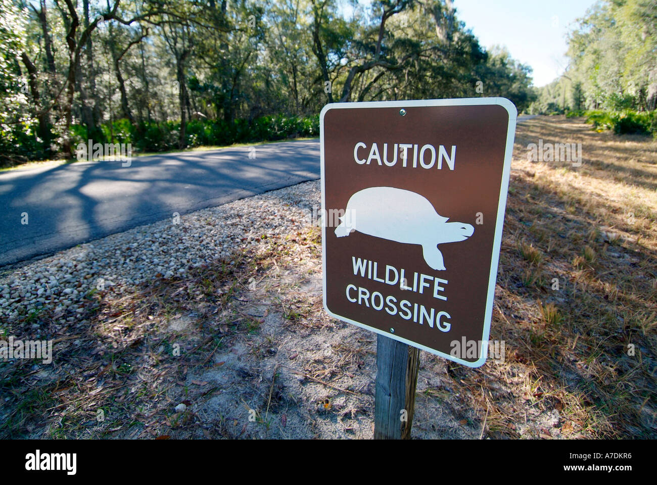 Manatee caution sign hi-res stock photography and images - Alamy