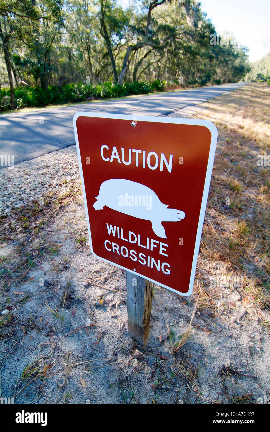 Manatee caution sign hi-res stock photography and images - Alamy