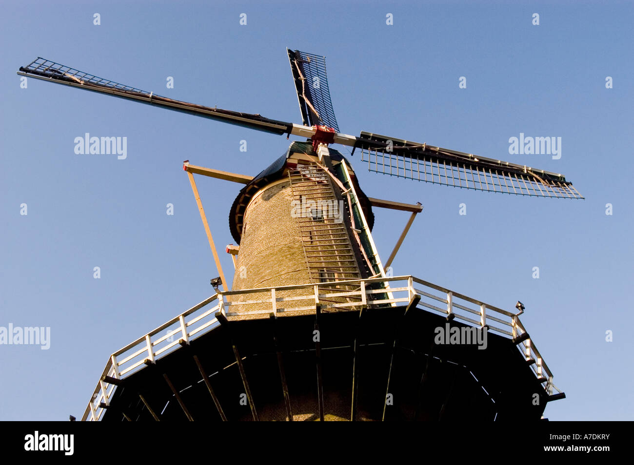 Grain windmill Molen de Roode Leeuw The Red Lion with blue sky ...