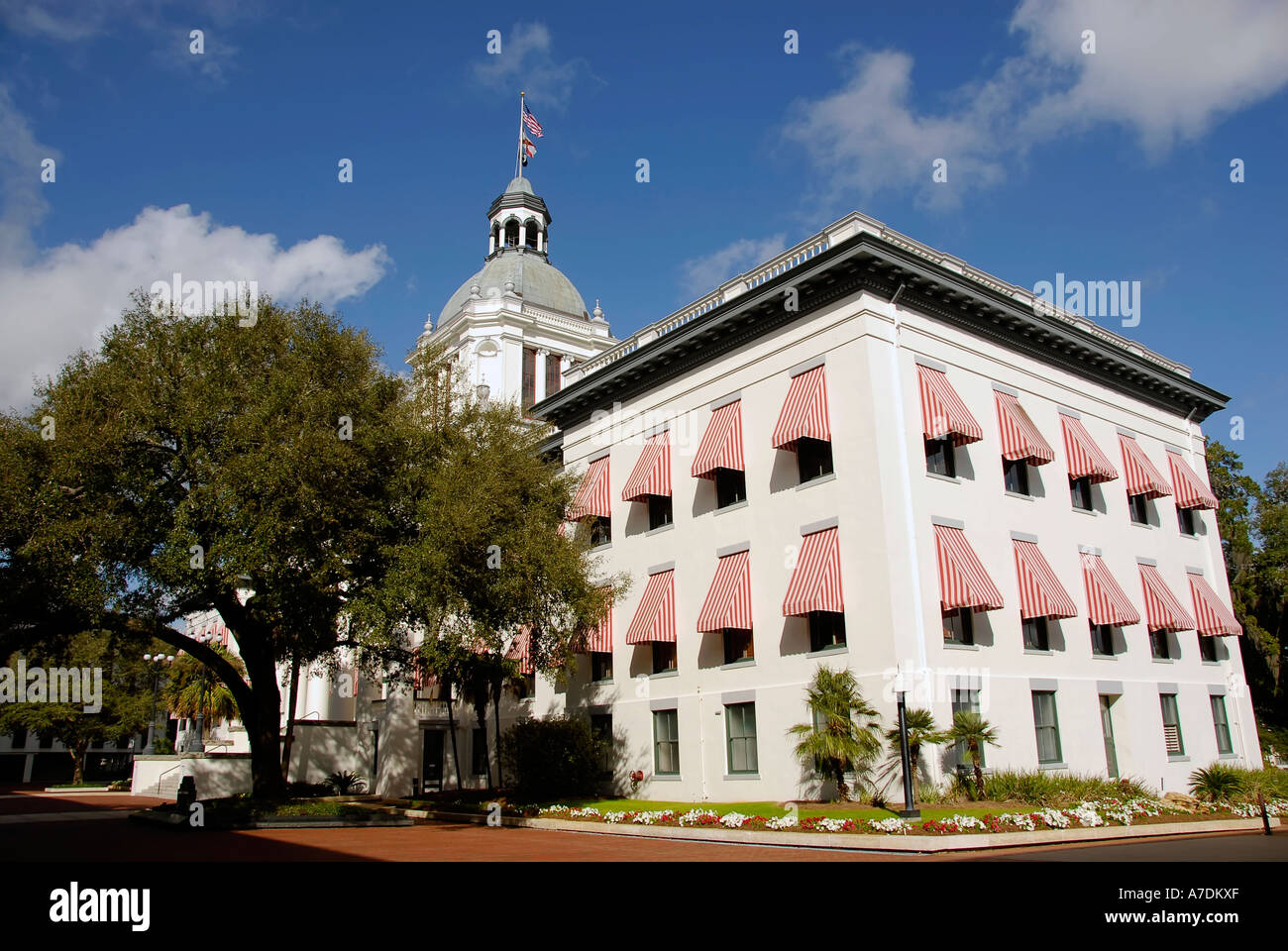 Old capitol at tallahassee hi-res stock photography and images - Alamy