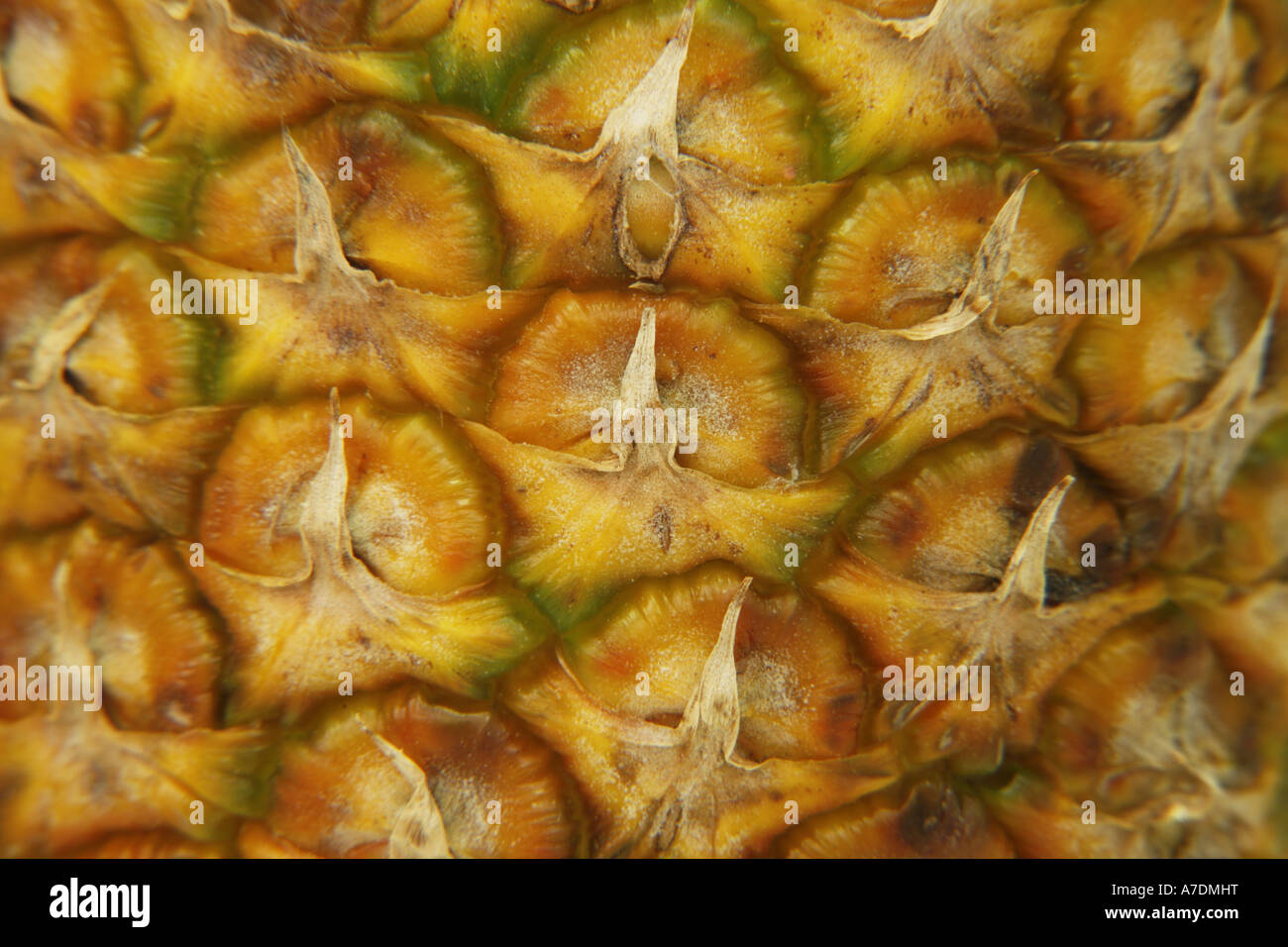 Close Up Pineapple Skin High Resolution Stock Photography and Images ...