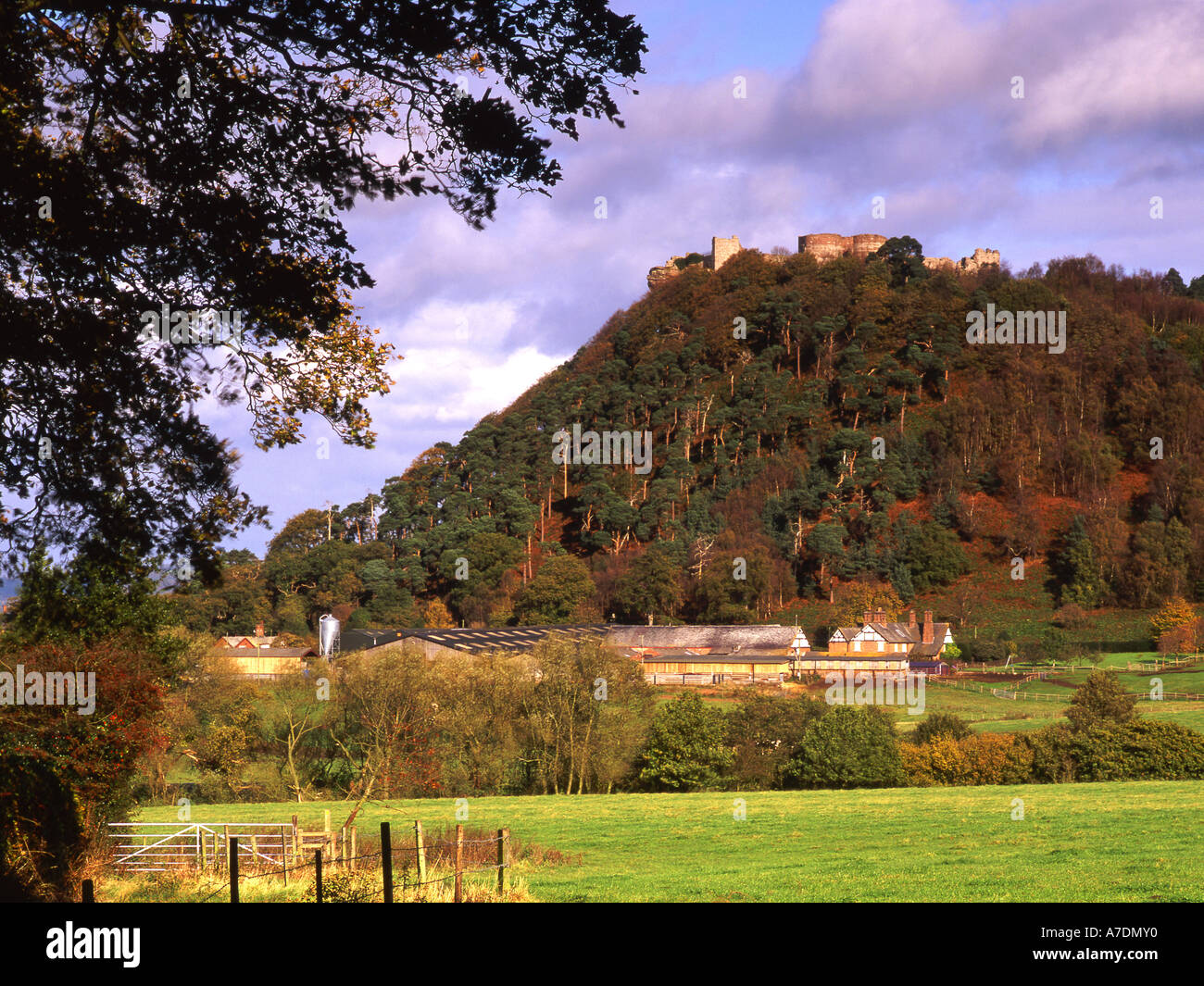 13th Century Beeston Castle in Autumn, Beeston, Cheshire, England, UK ...