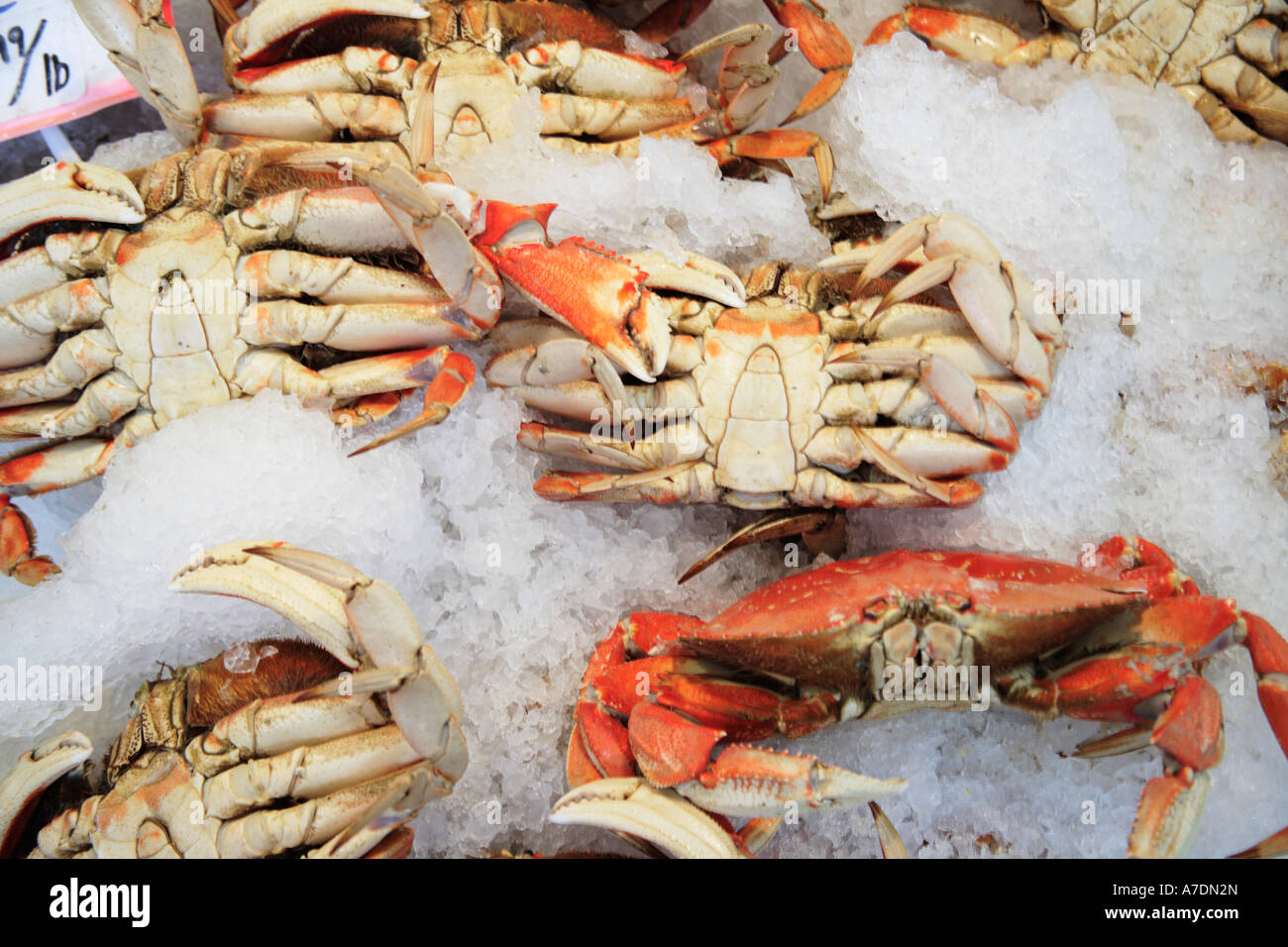 Fresh Crabs on Ice Stock Photo - Alamy