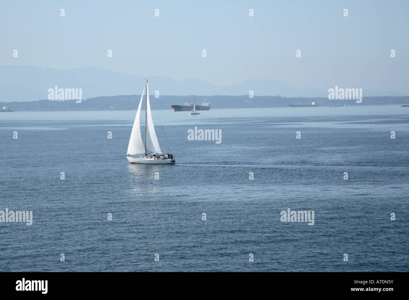 Sail Boat on Water Stock Photo - Alamy