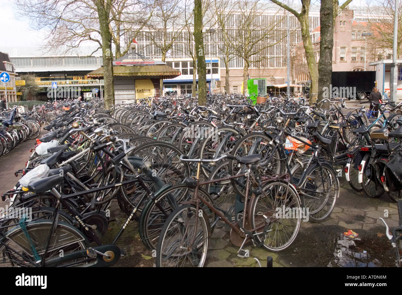 Throng of traditional Dutch bicycles parked near Haarlem railway ...