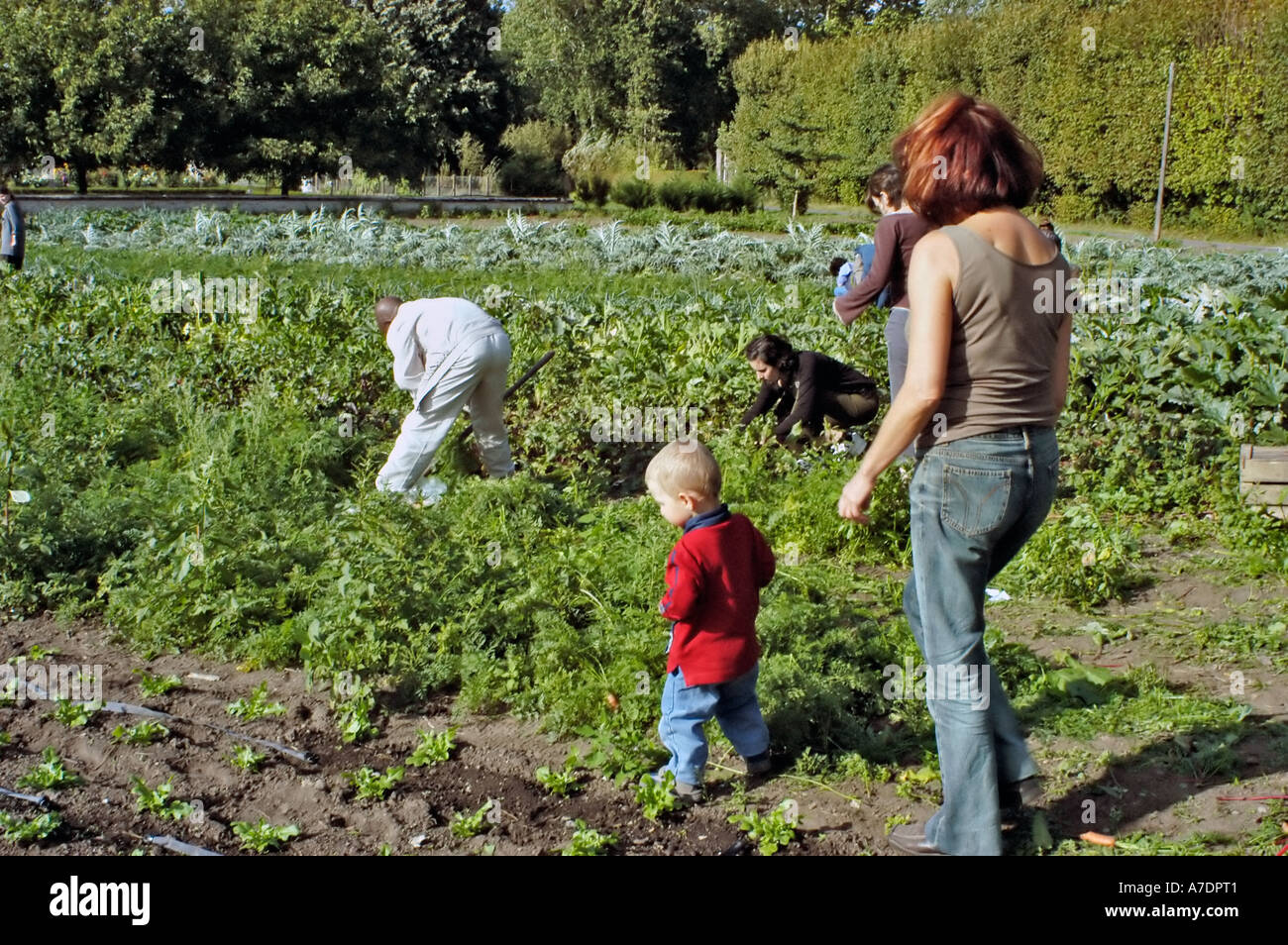 PARIS France, Organic Farm, Single Mum, Son Picking Own Vegetables, DIY ...