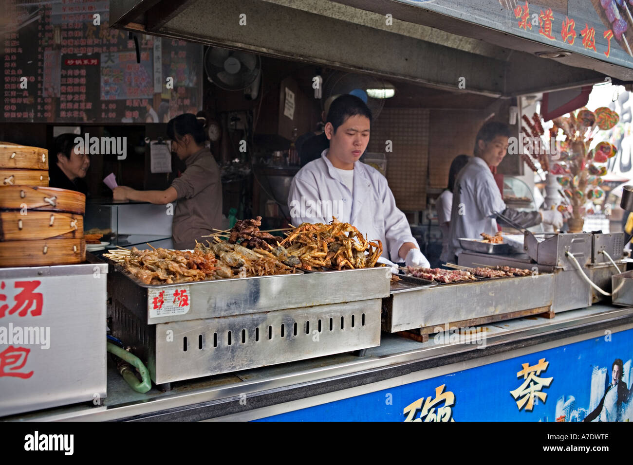 Chinese beetles hi-res stock photography and images - Alamy