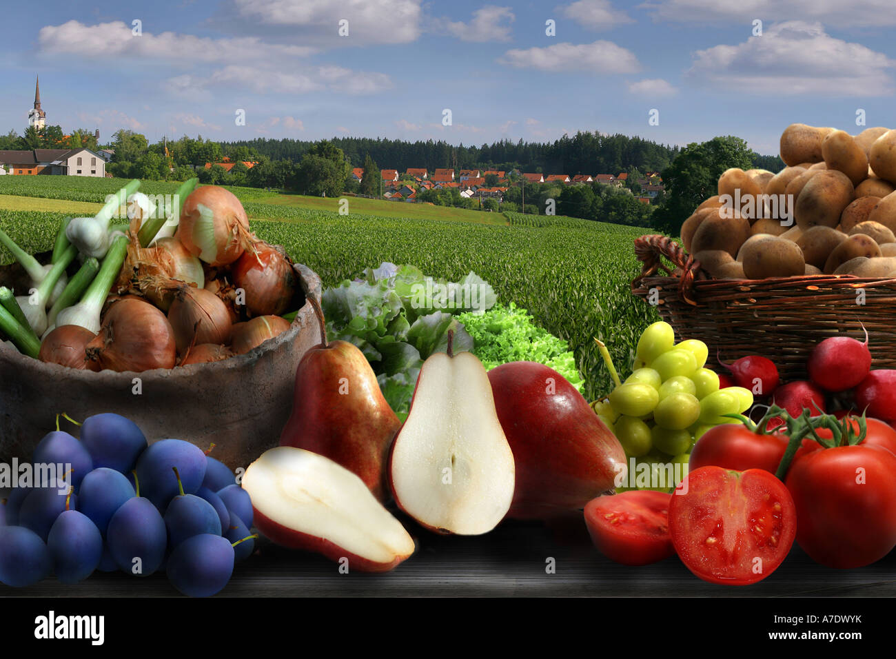 fruits and vegetables with field and village in the background Stock ...