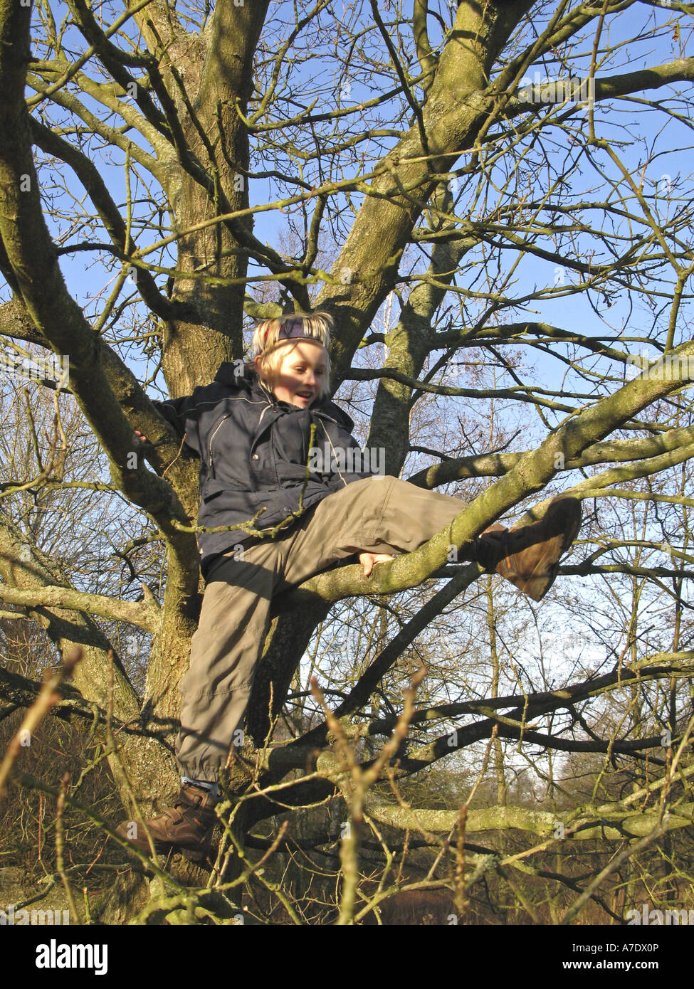 boy climbing onto a tree Stock Photo - Alamy