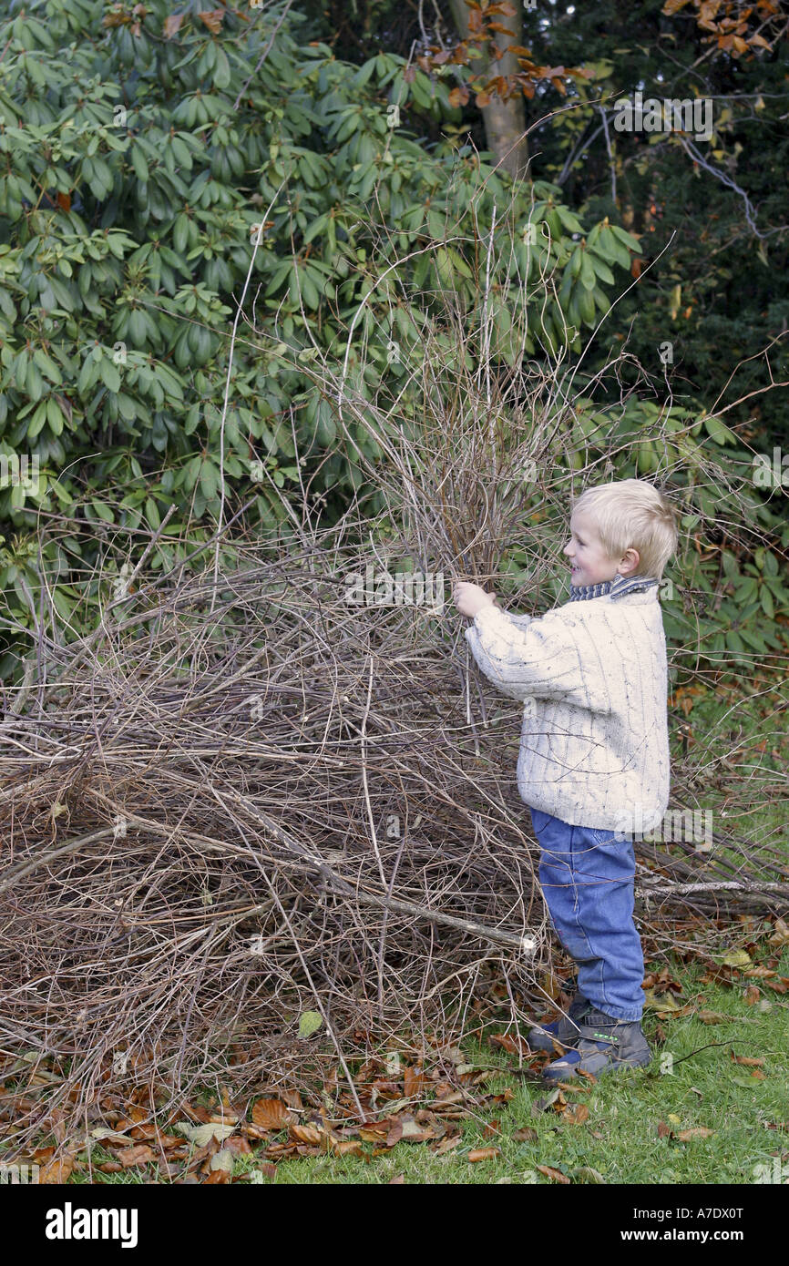boy collecting brush wood for an hideout for hedgehogs Stock Photo - Alamy