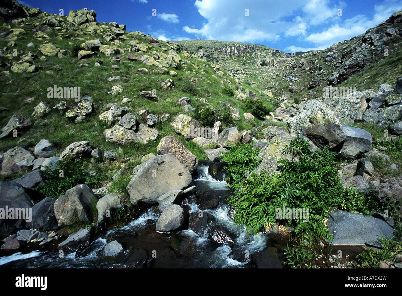 Turkey b trapp hi-res stock photography and images - Alamy