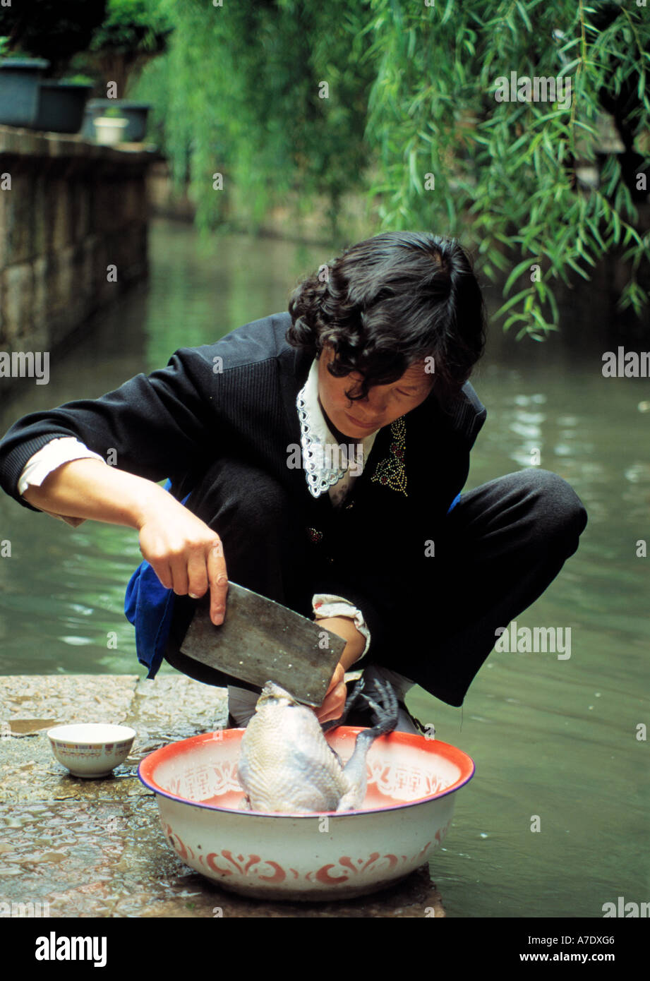 CHINA YUNNAN PROVINCE LIJANG WOMAN PREPARING CHICKEN BY RIVER Stock ...