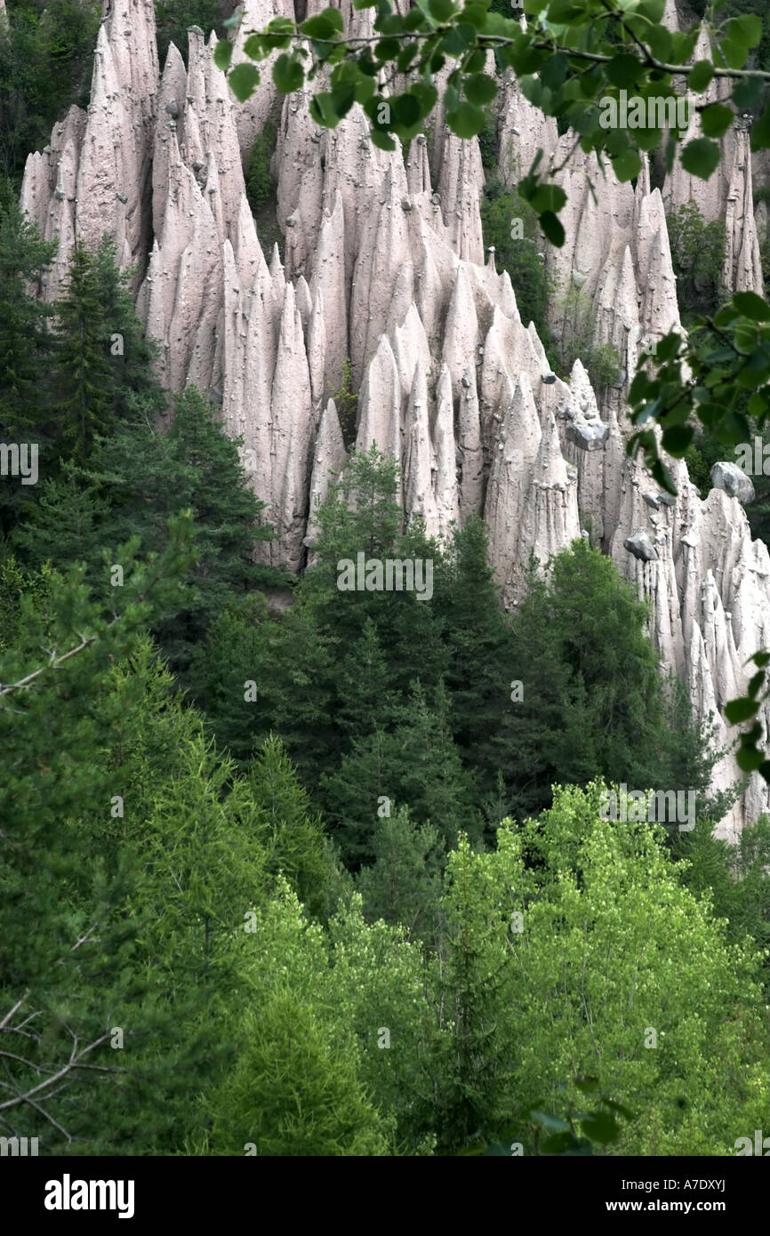 earth pillars in the forest, Italy, Suedtirol, Ritten Stock Photo - Alamy