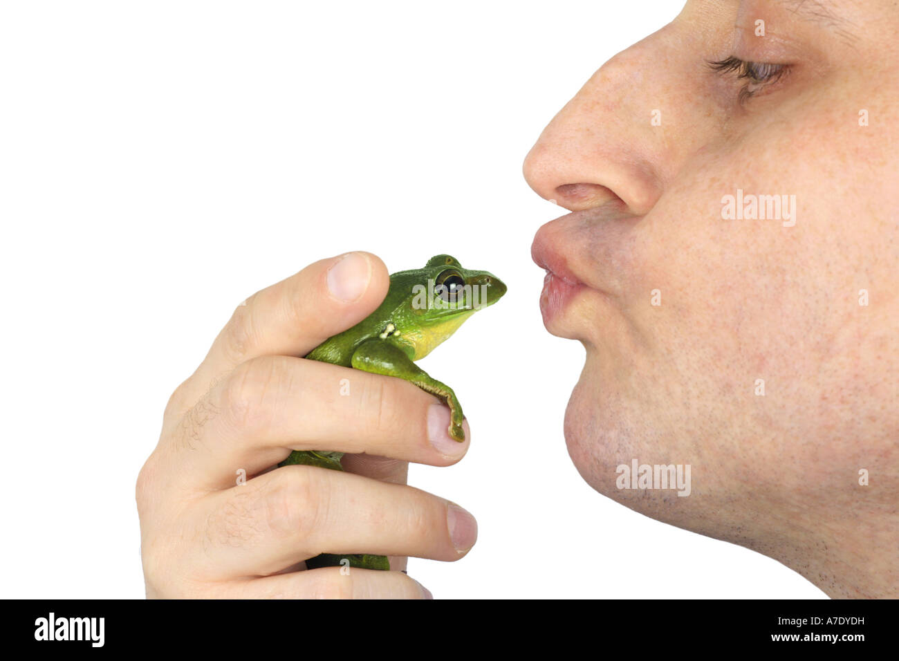 kissing a frog Stock Photo - Alamy