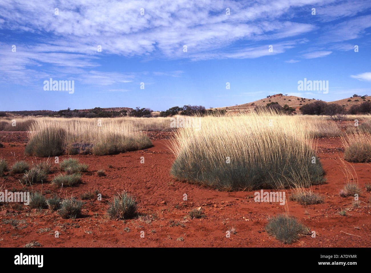 Desert deserts spinifex hi-res stock photography and images - Alamy