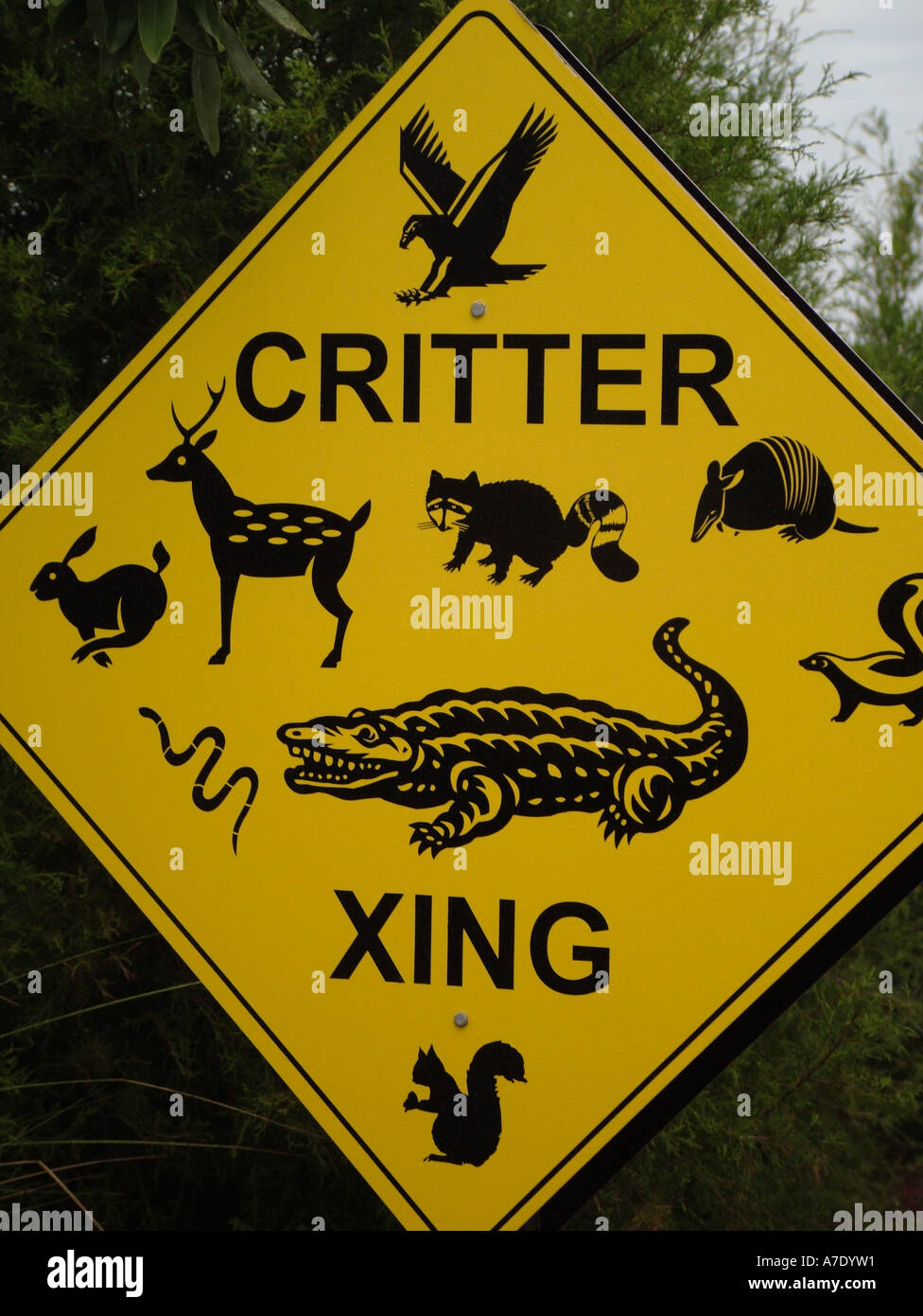 Critter crossing hi-res stock photography and images - Alamy