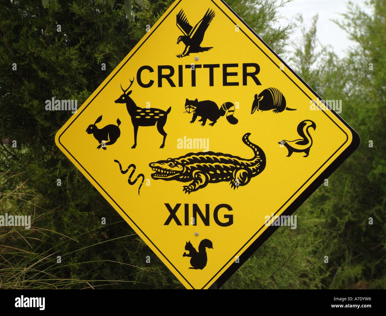 Critter crossing hi-res stock photography and images - Alamy