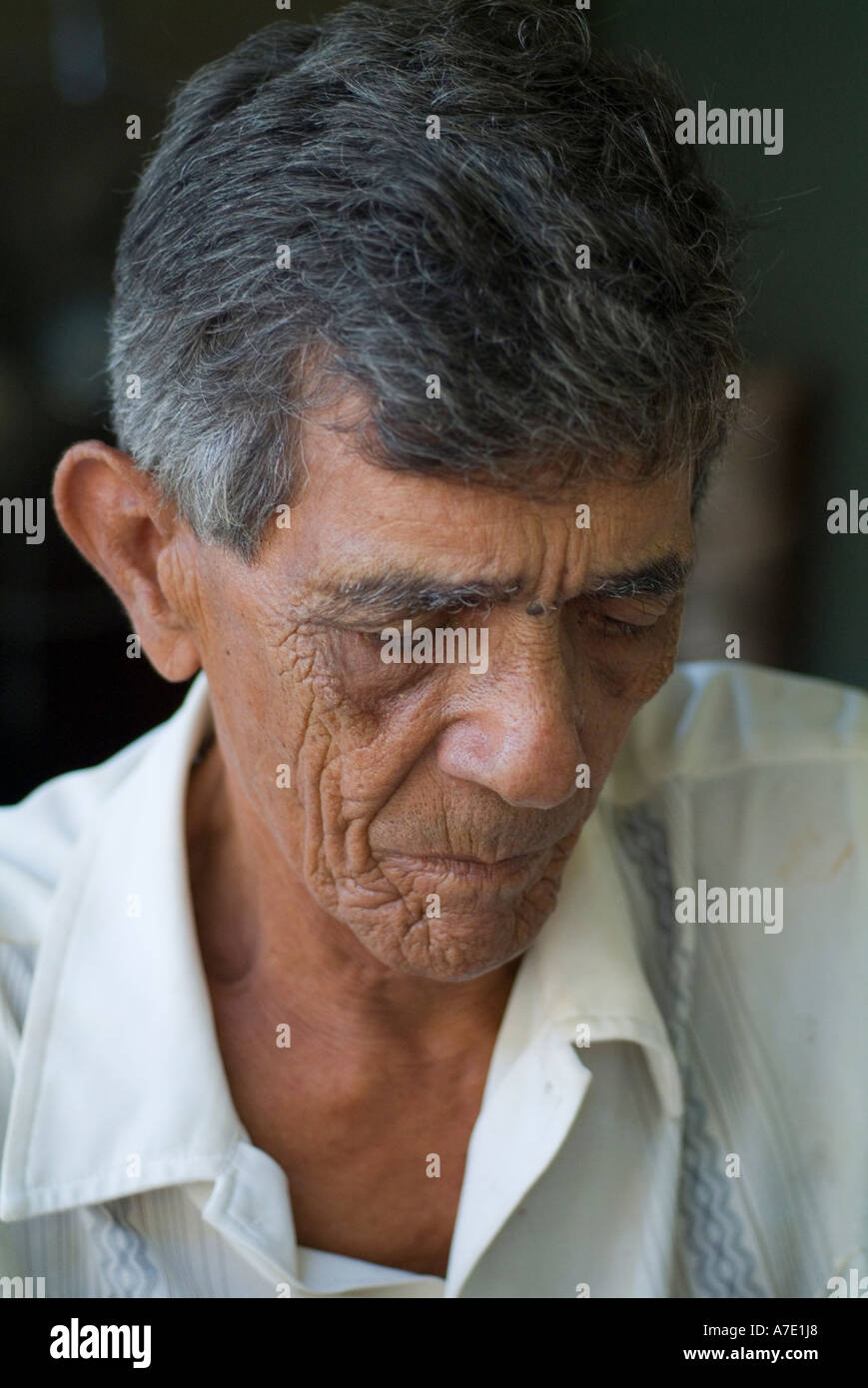 Old Cuban man rolling a cigar for guests Vinales Cuba Stock Photo - Alamy