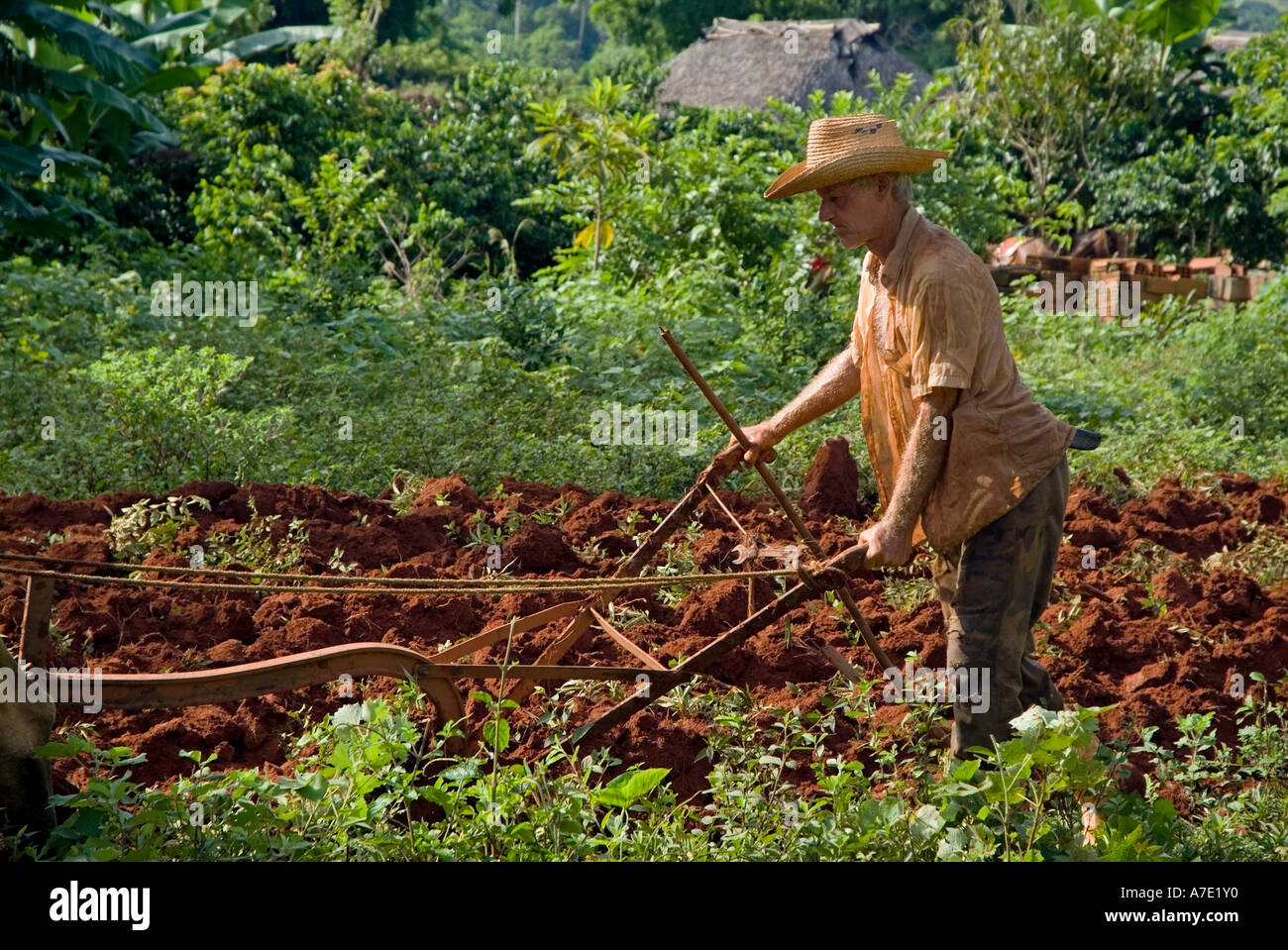 Hand ploughing hi-res stock photography and images - Alamy