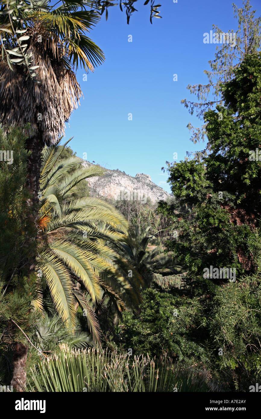 Val Rameh Gardens Menton Stock Photo - Alamy