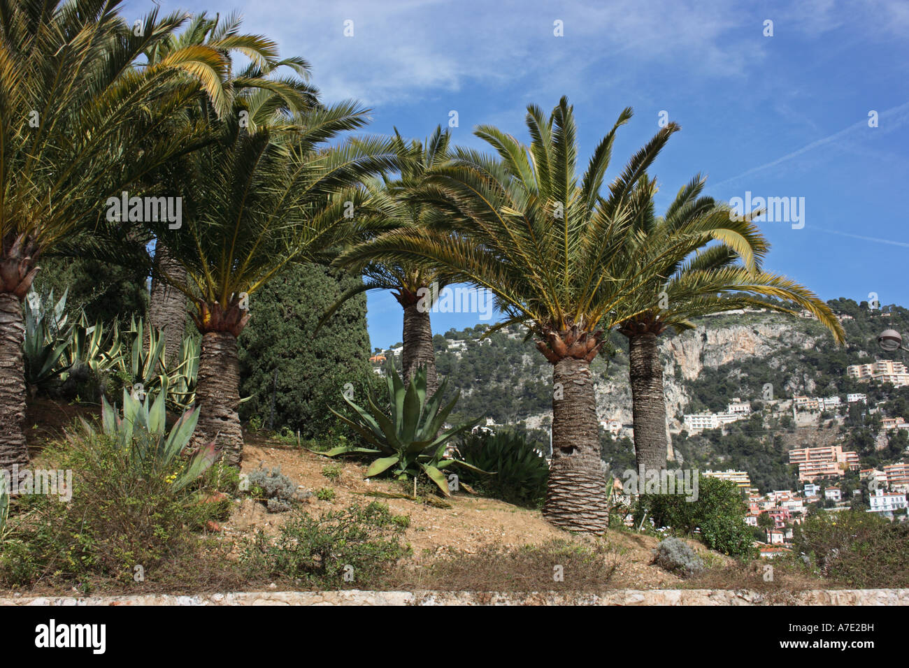 Val Rameh Gardens Menton Stock Photo - Alamy