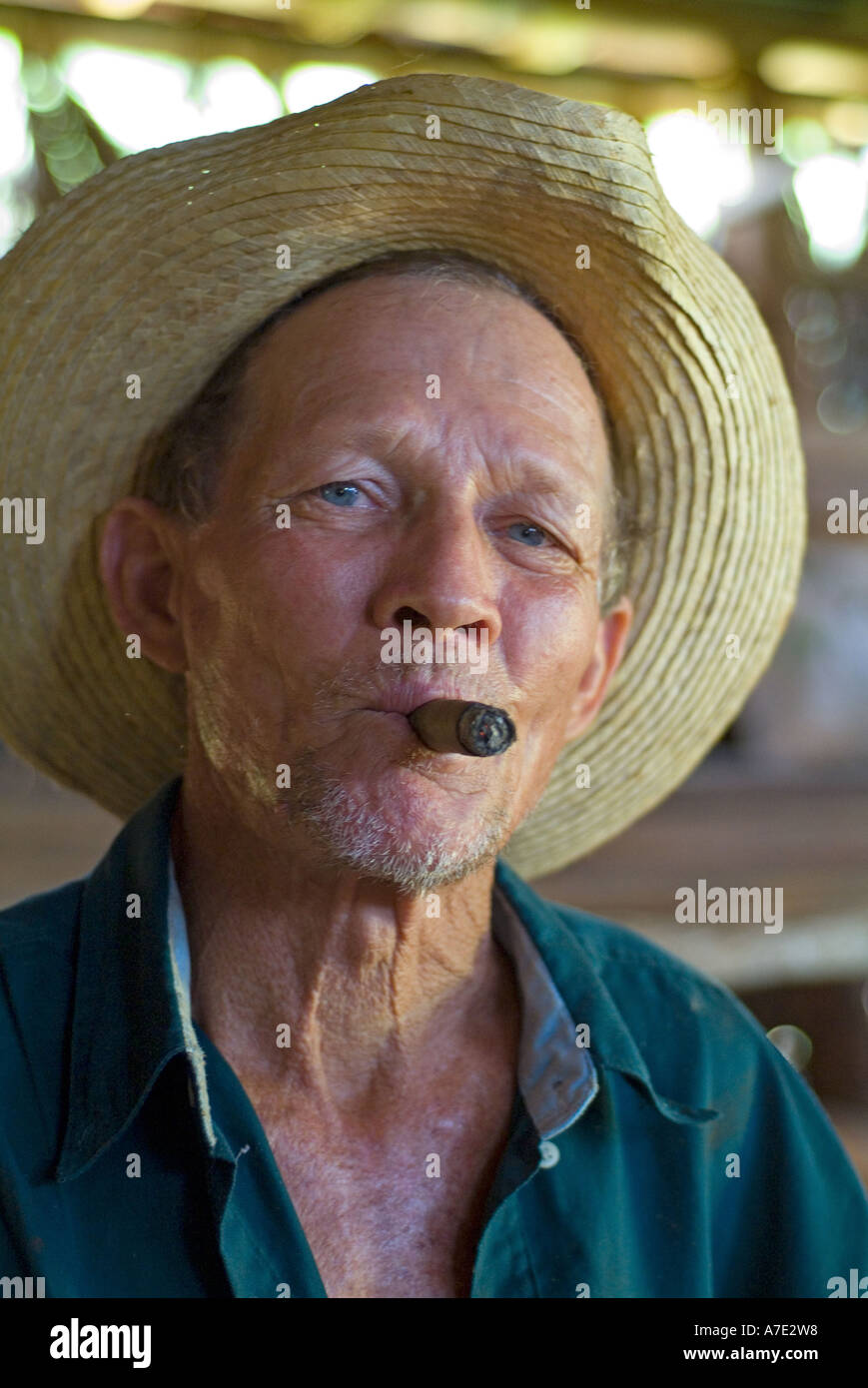 Tobacco farmer looking at camera hi-res stock photography and images ...