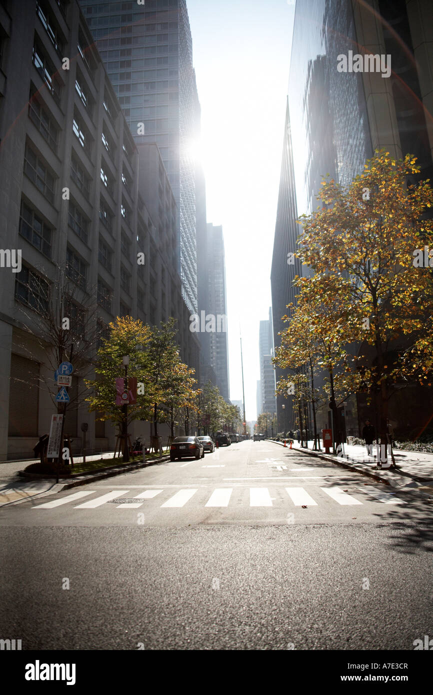 Tall modern commercial office skyscraper buildings with autumn trees in ...