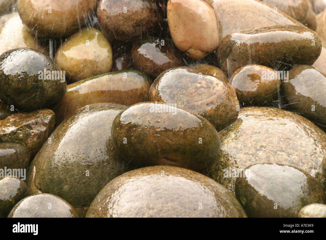 wet cobble stones Stock Photo - Alamy