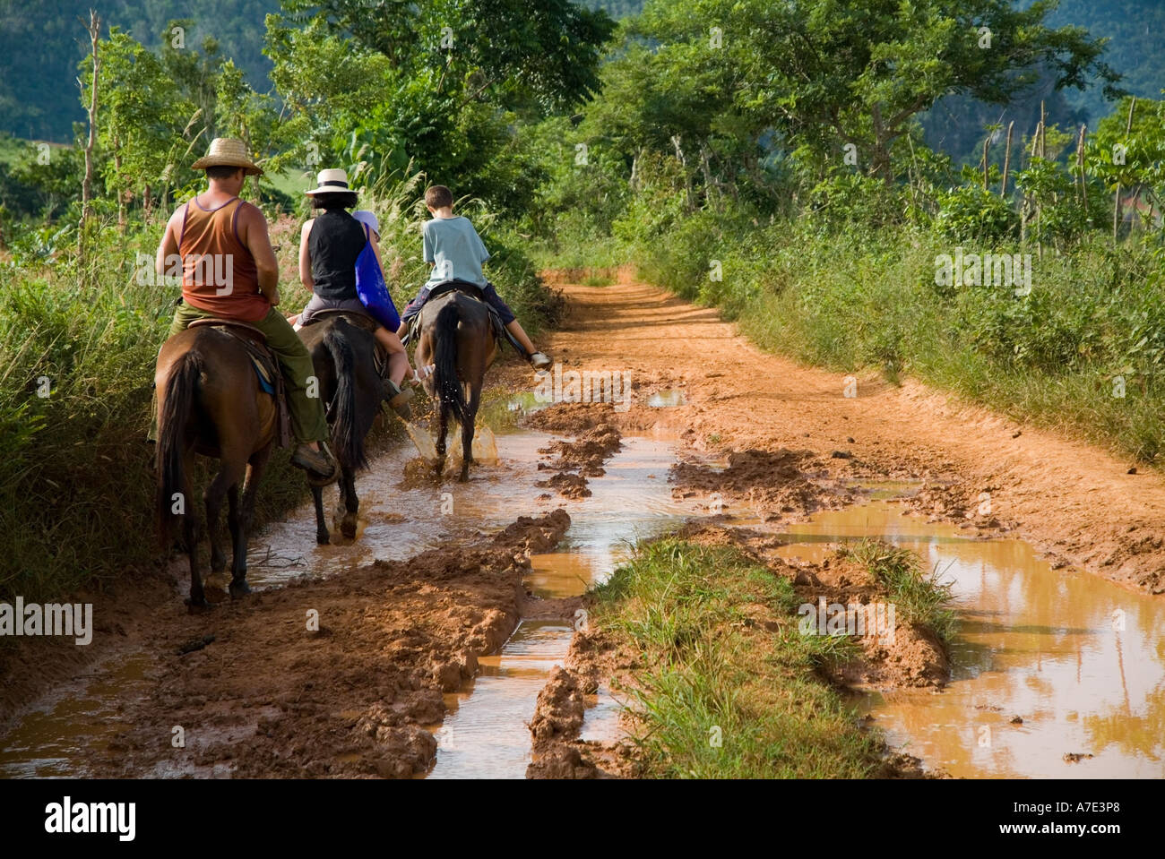 Family and Cuban guide on a horse ride tour in Vinales valley Cuba ...