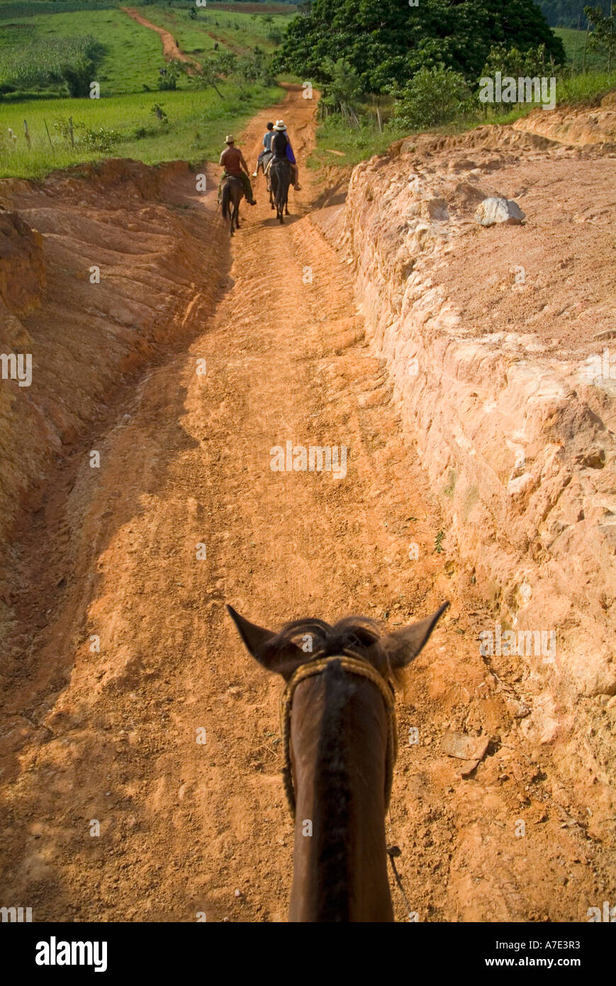 Family horseback riding in the countryside along with their Cuban guide ...