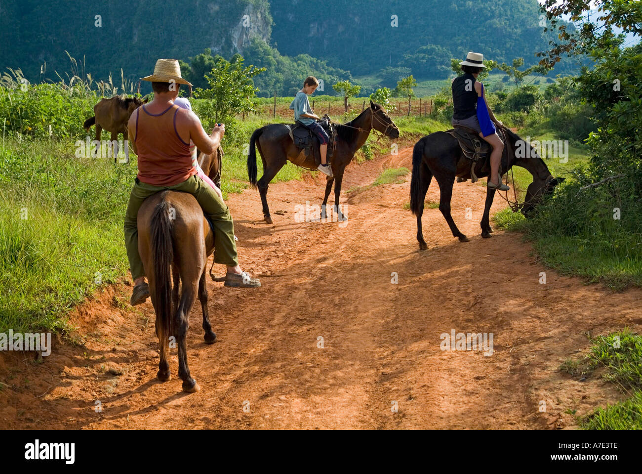 Riding horses along the road hi-res stock photography and images - Alamy