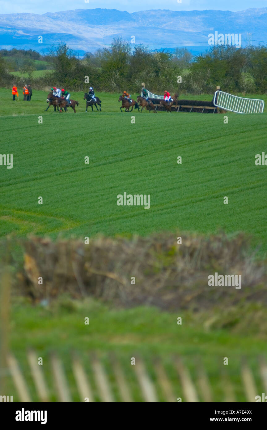 Point to Point racing at Tallanstown County Louth Ireland Horses and ...
