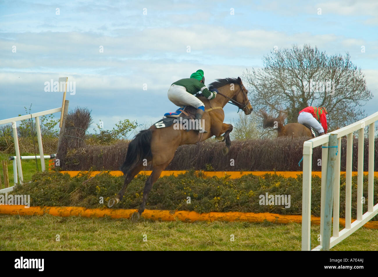 Point to Point racing at Tallanstown County Louth Ireland A jockey ...