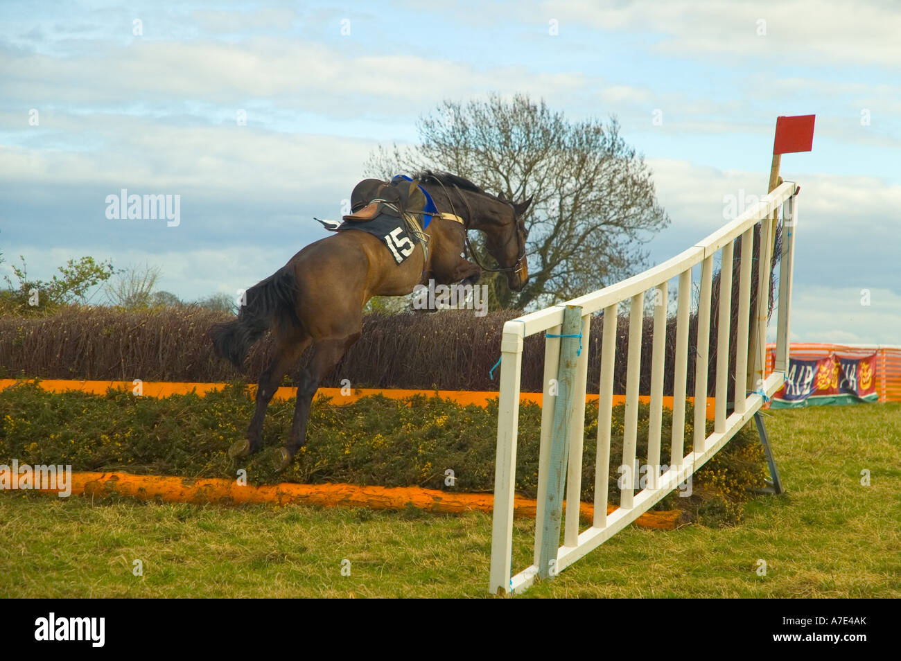 Point to Point racing at Tallanstown County Louth Ireland A jockey ...