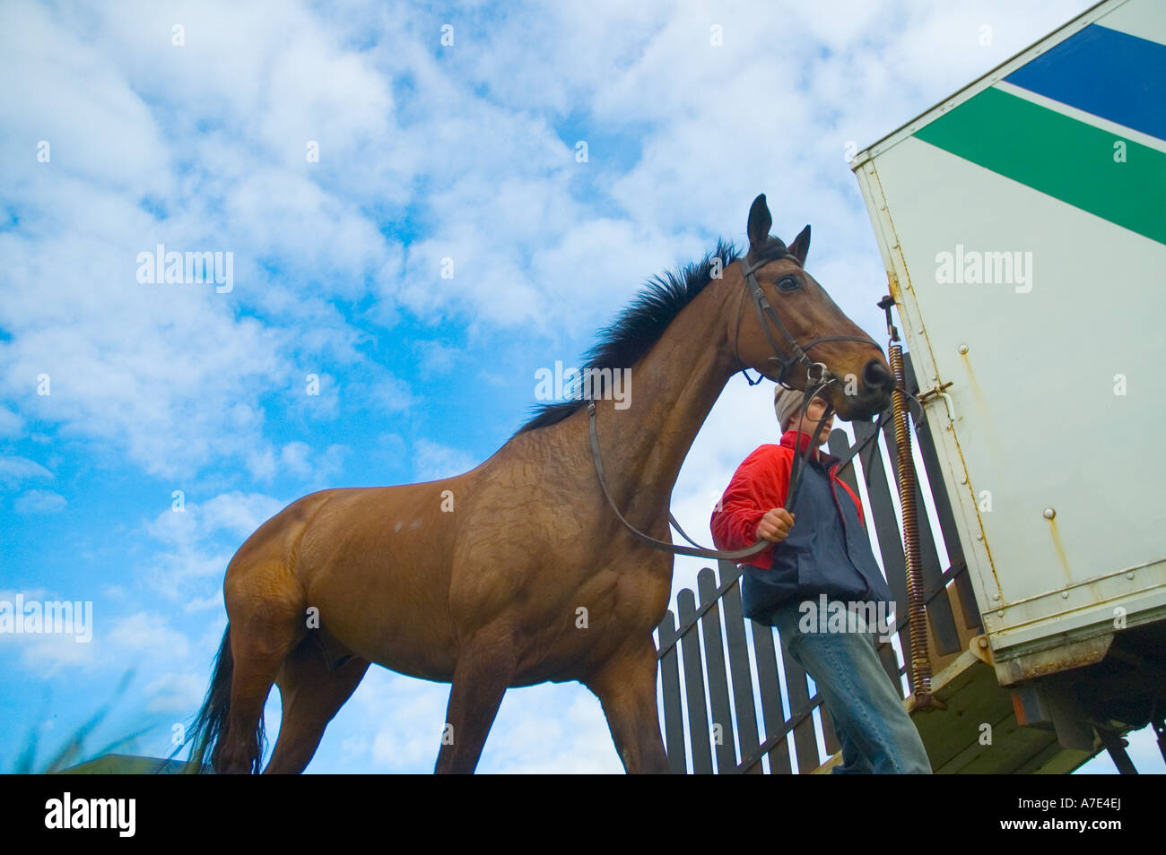 Point to Point racing at Tallanstown County Louth Ireland A stable hand ...