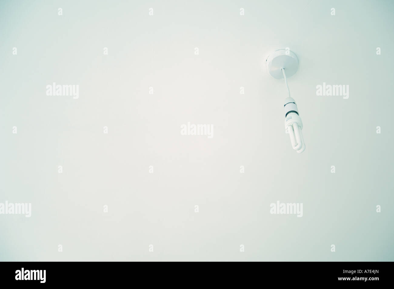 An energy saving lightbulb on a white ceiling Stock Photo - Alamy