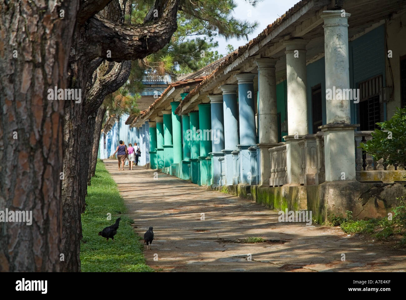 Bright green columns along the main city street in Vinales, Cuba Stock ...