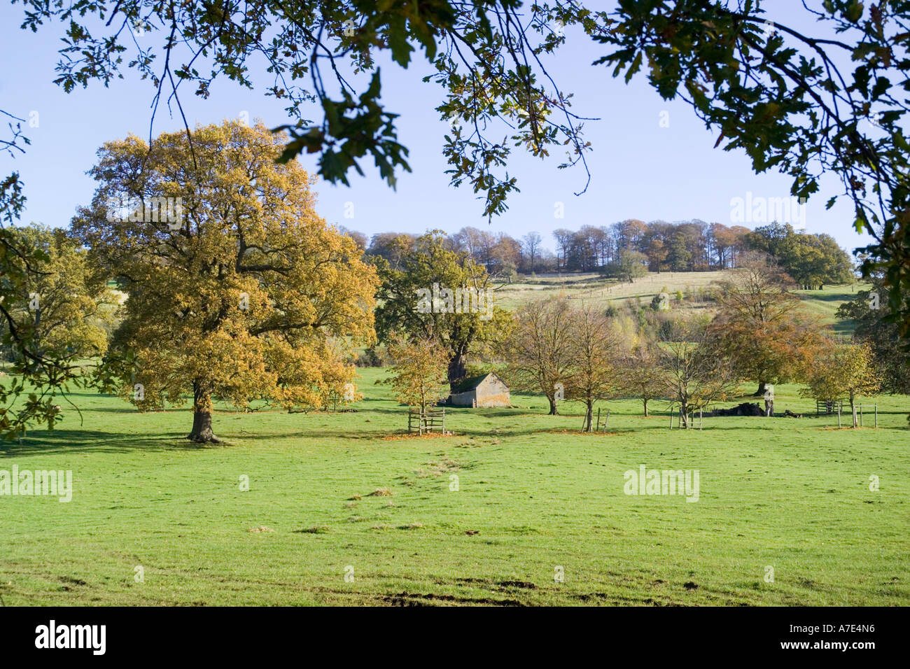 Autumn in the Cotswolds near Stanway, Gloucestershire Stock Photo - Alamy
