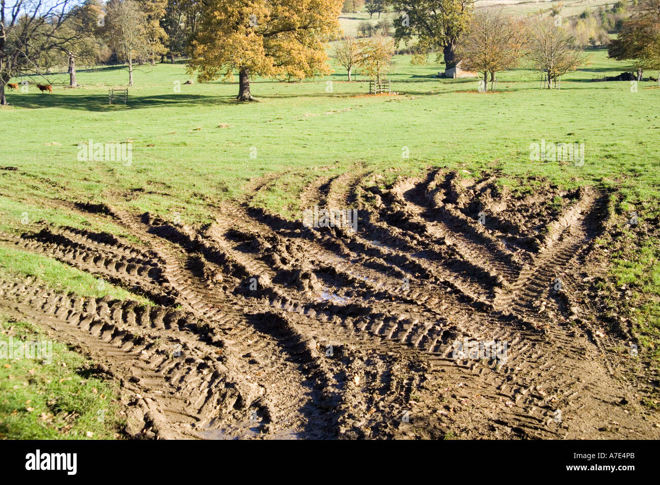 Mud tyre mark hi-res stock photography and images - Alamy