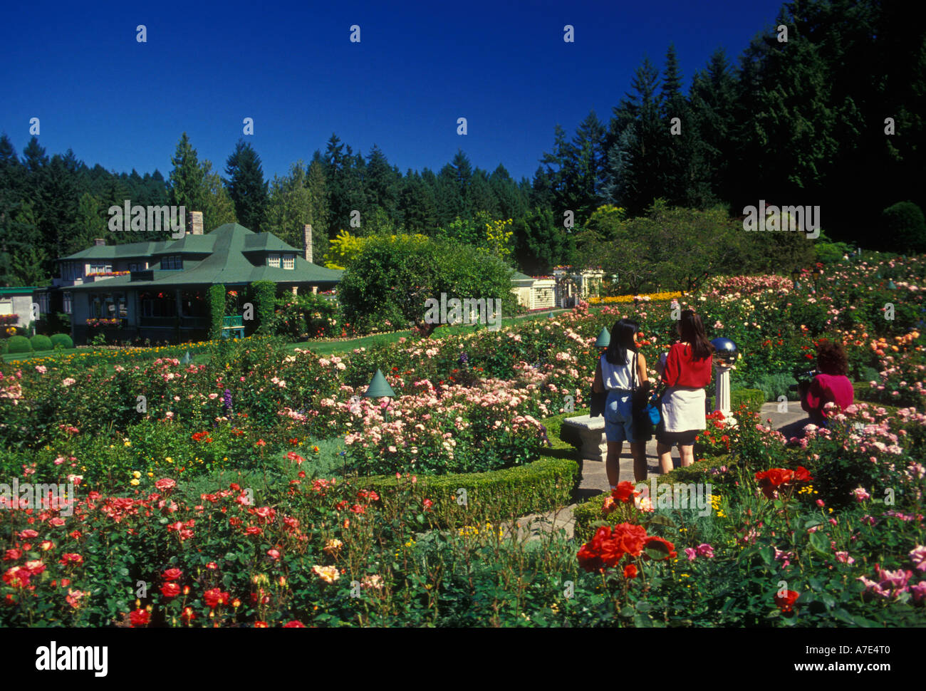tourists visitors visiting Rose Garden at Butchart Gardens a botanic ...