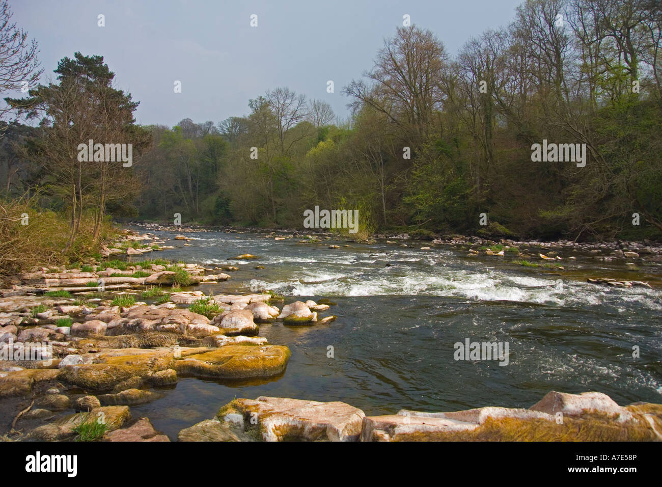 River usk and fishing hi-res stock photography and images - Alamy