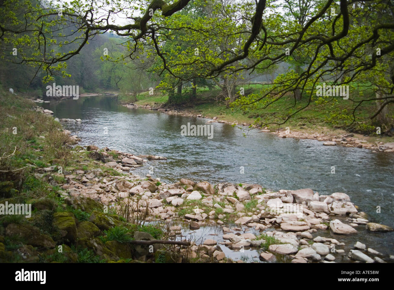 River usk and fishing hi-res stock photography and images - Alamy