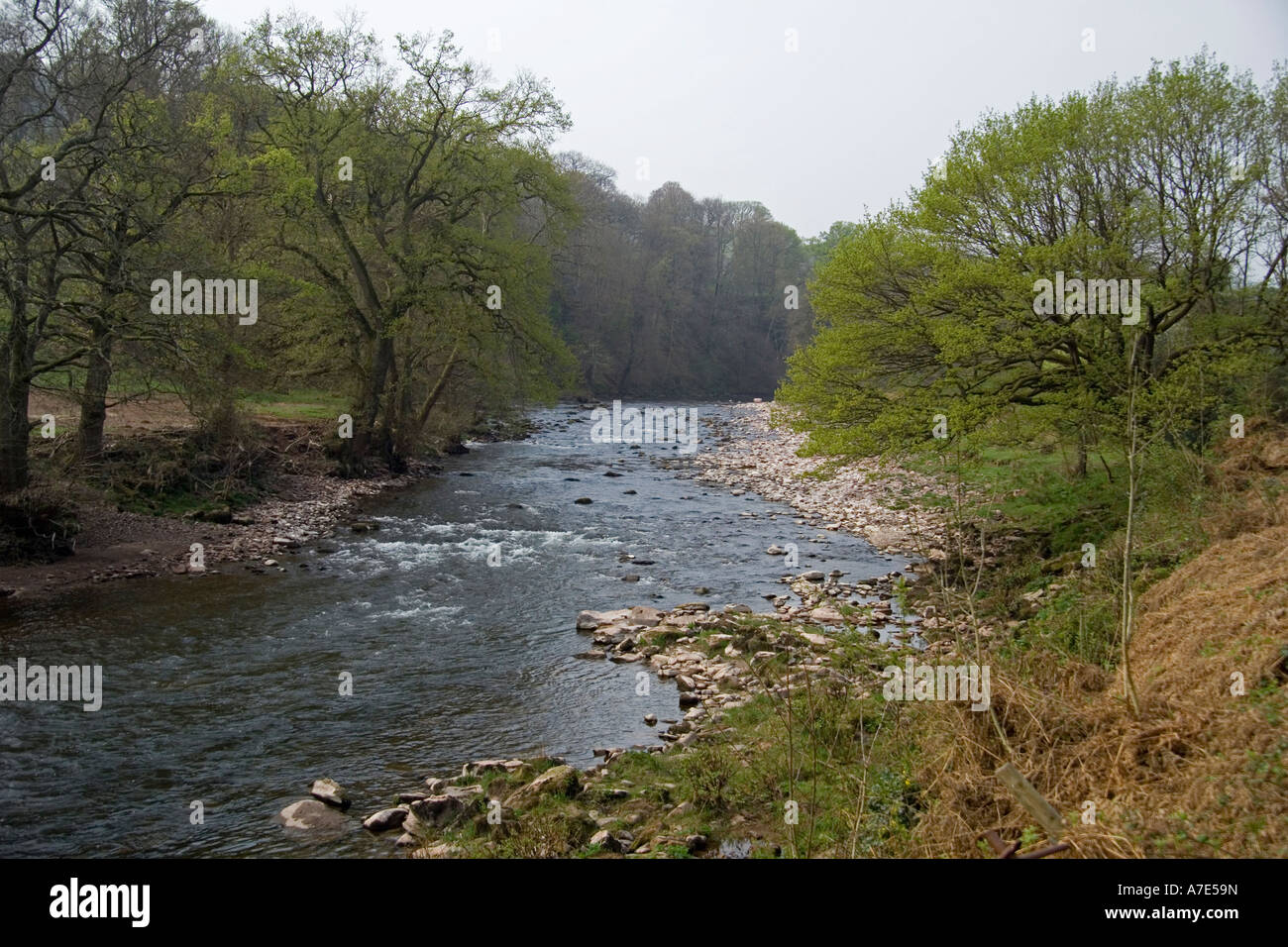River usk and fishing hi-res stock photography and images - Alamy