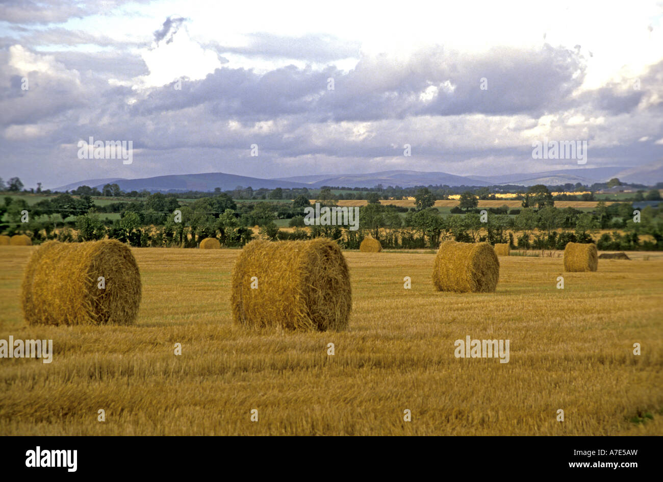 Europe Ireland Kilkenny farm with rolled hay bales Stock Photo - Alamy