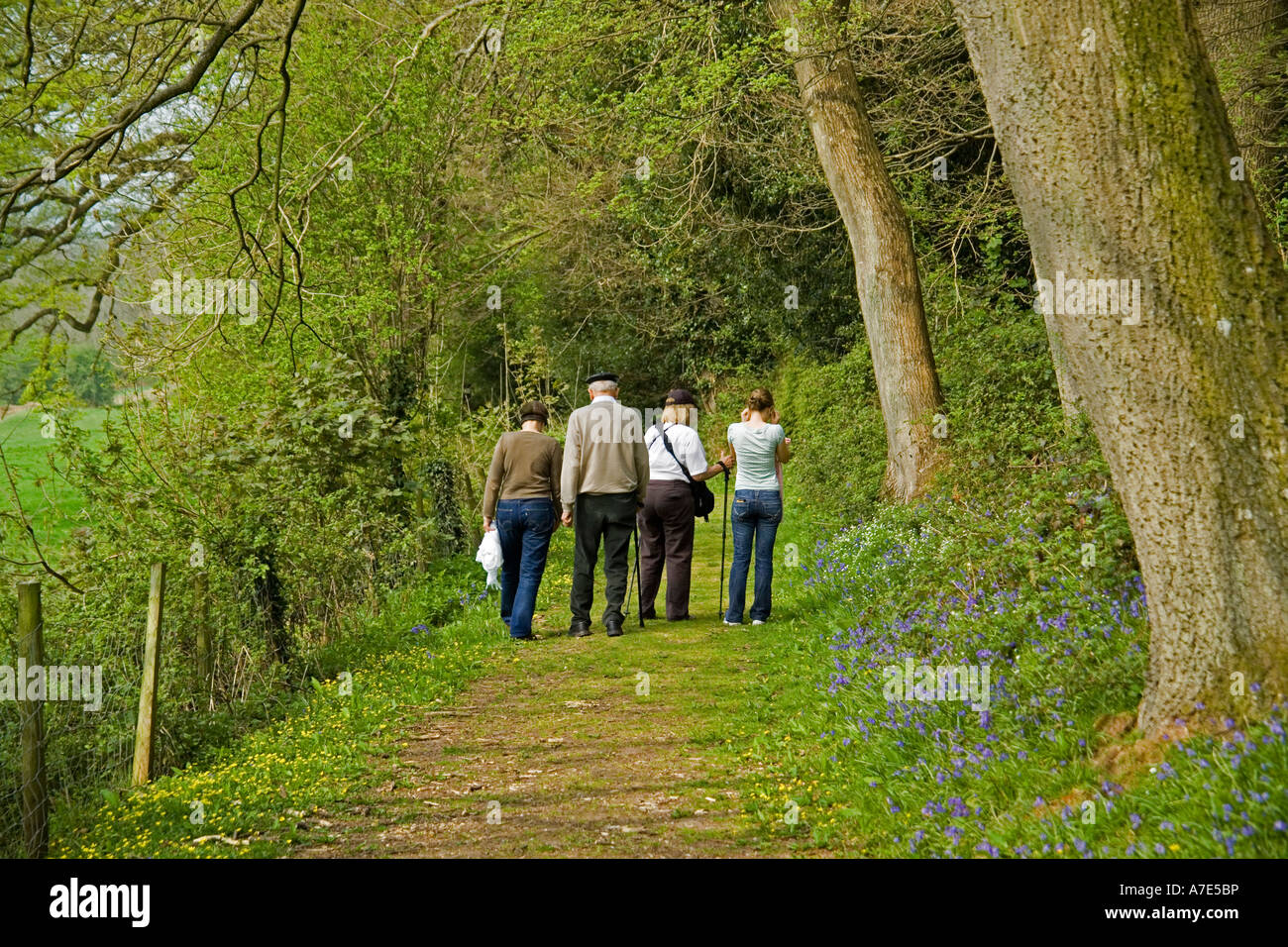 family strolling in the park Stock Photo - Alamy